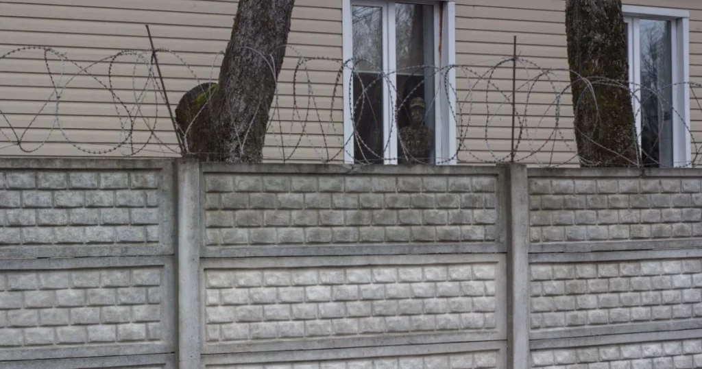Boundary Tree Law: Who Owns a Tree on the Property Line?